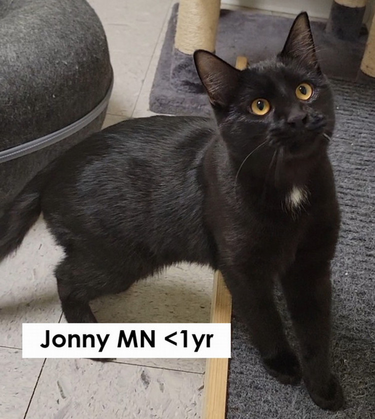 Tri-C Vet Tech Adoptable Animals: Cleveland, Ohio